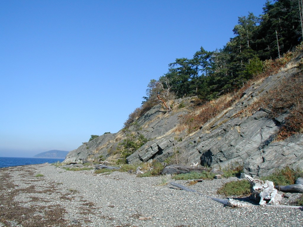 Samish Island - Corkery Property - Skagit Land Trust