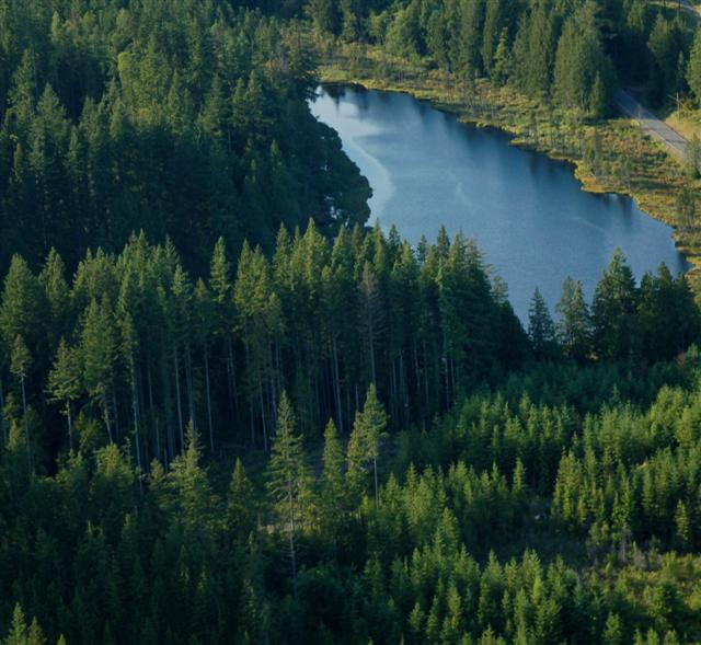 Sumner Lake Property - Skagit Land Trust